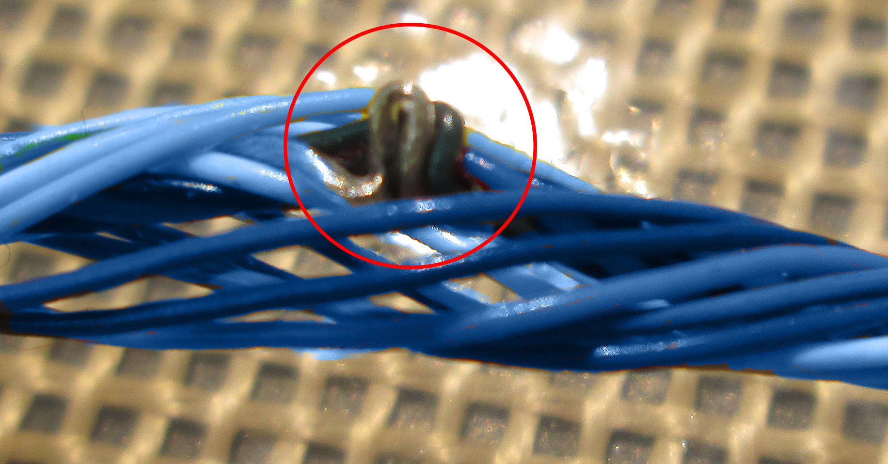 Broken Xray Sensors - Why They Break - Is Digital XRAY Affordable